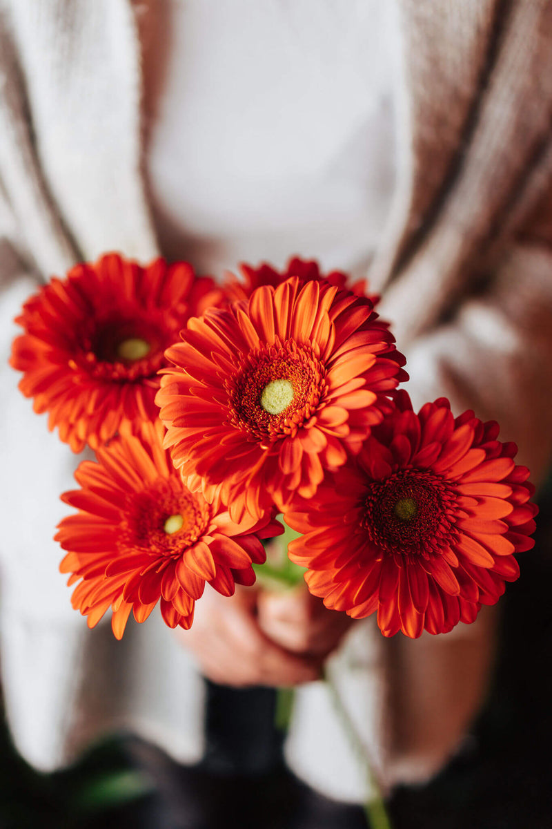 Bouquet de gerberas - Les Fleurs du Marché