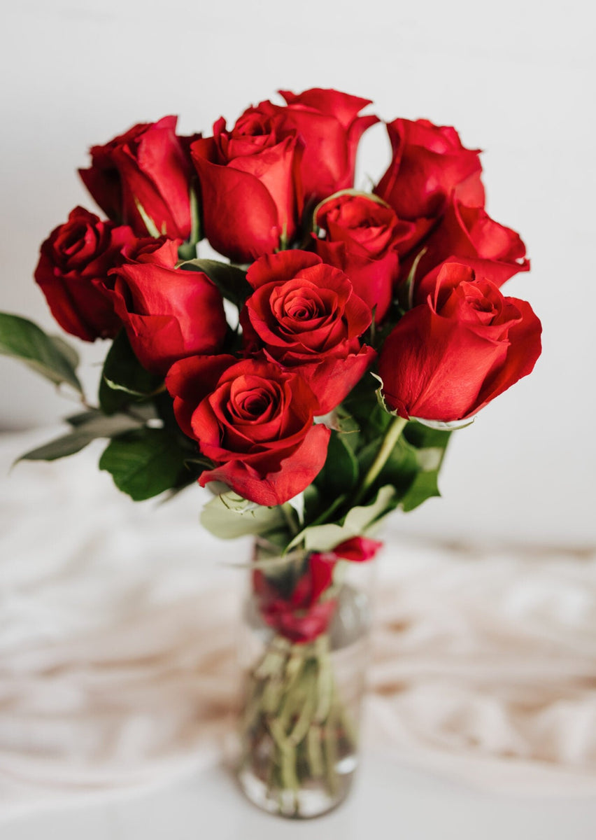 Bouquet de roses rouges classiques | 6, 12, 18 ou 24 roses | Avec ou ...